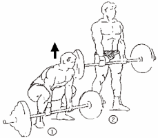 Starting Strength Novice Program